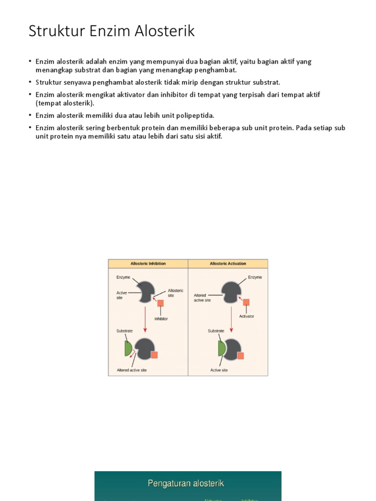 Struktur Enzim Alosterik | PDF
