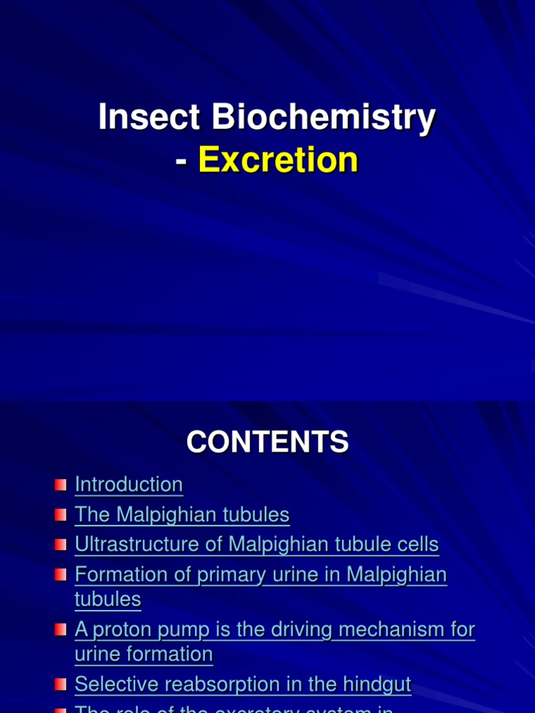 Excretion in Insects | PDF | Excretion | Cell Membrane