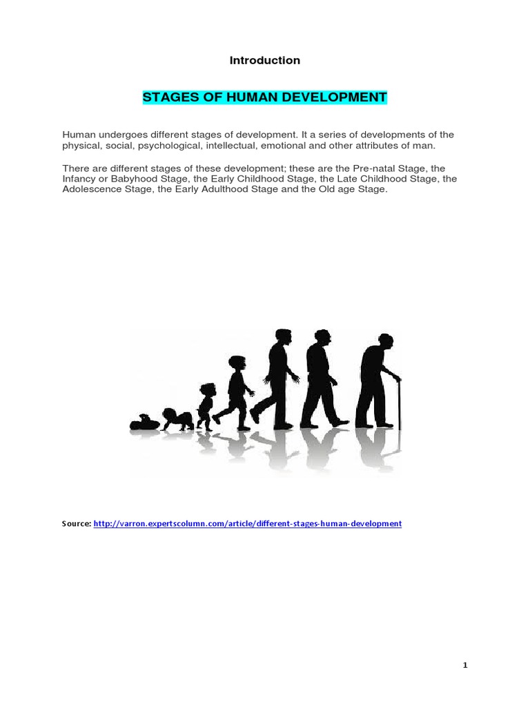 Stages of Human Development | PDF | Puberty | Prenatal Development