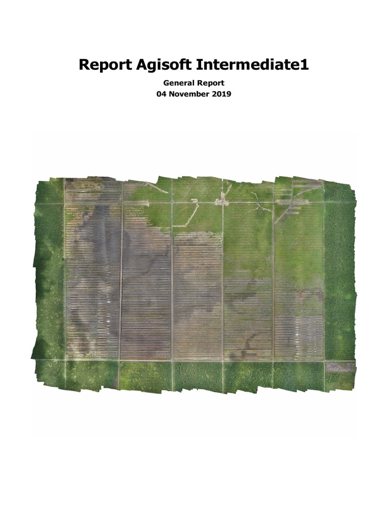 Contoh General Reports Agisoft | PDF | Texture Mapping | Pixel