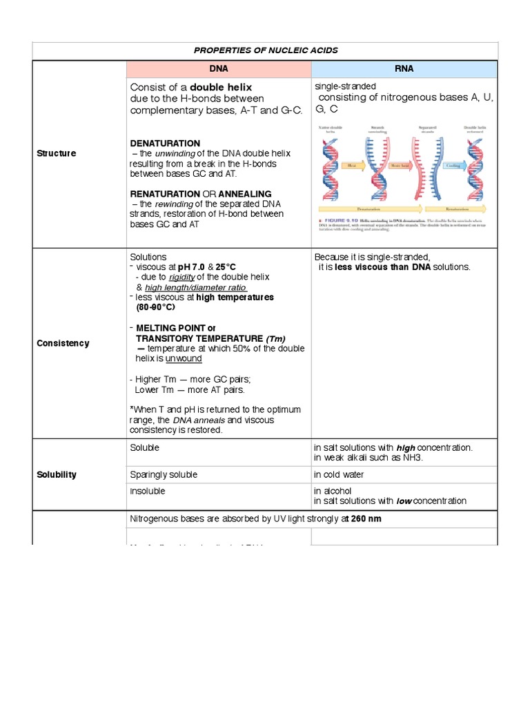 Properties of Nucleic Acids | PDF | Denaturation (Biochemistry ...