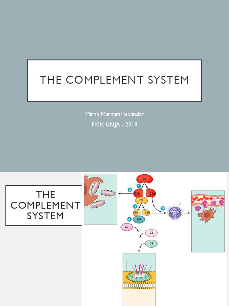 The Complement System | PDF | Complement System | Immune System
