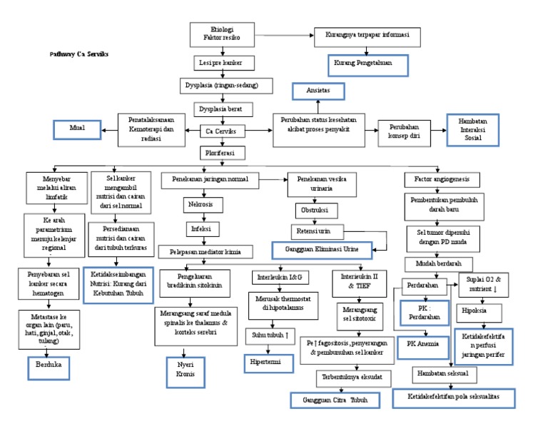 Pathway CA Cervix | PDF