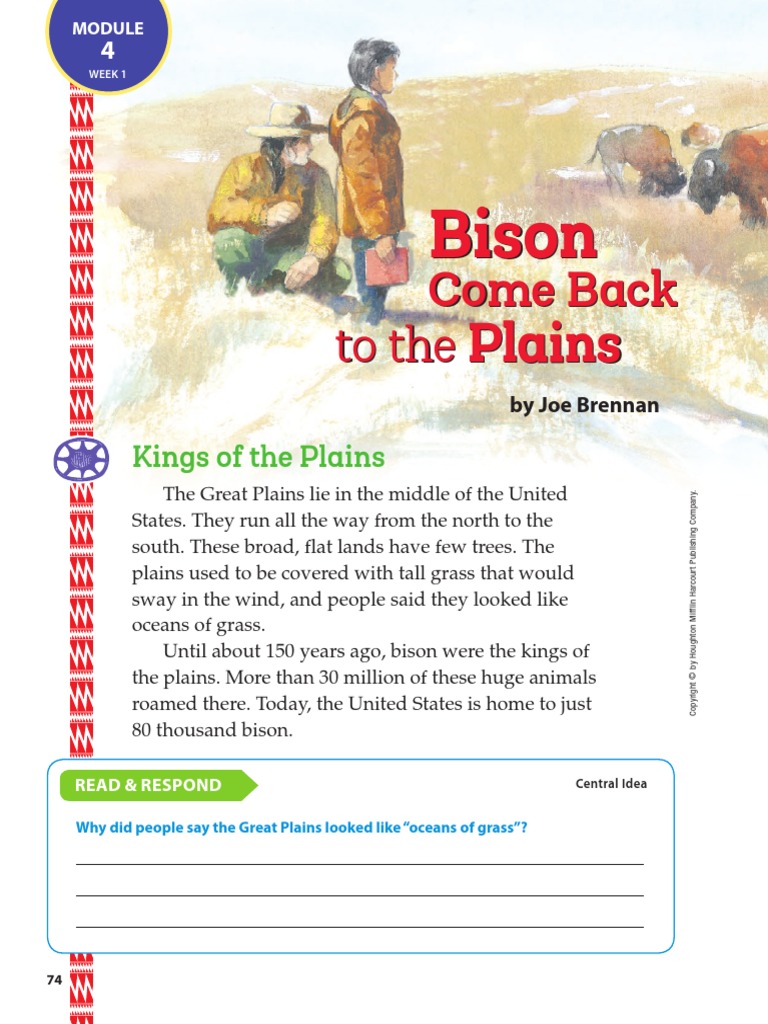 Bison Come Back To The Plains m04 - w01 | PDF | Bison | Great Plains