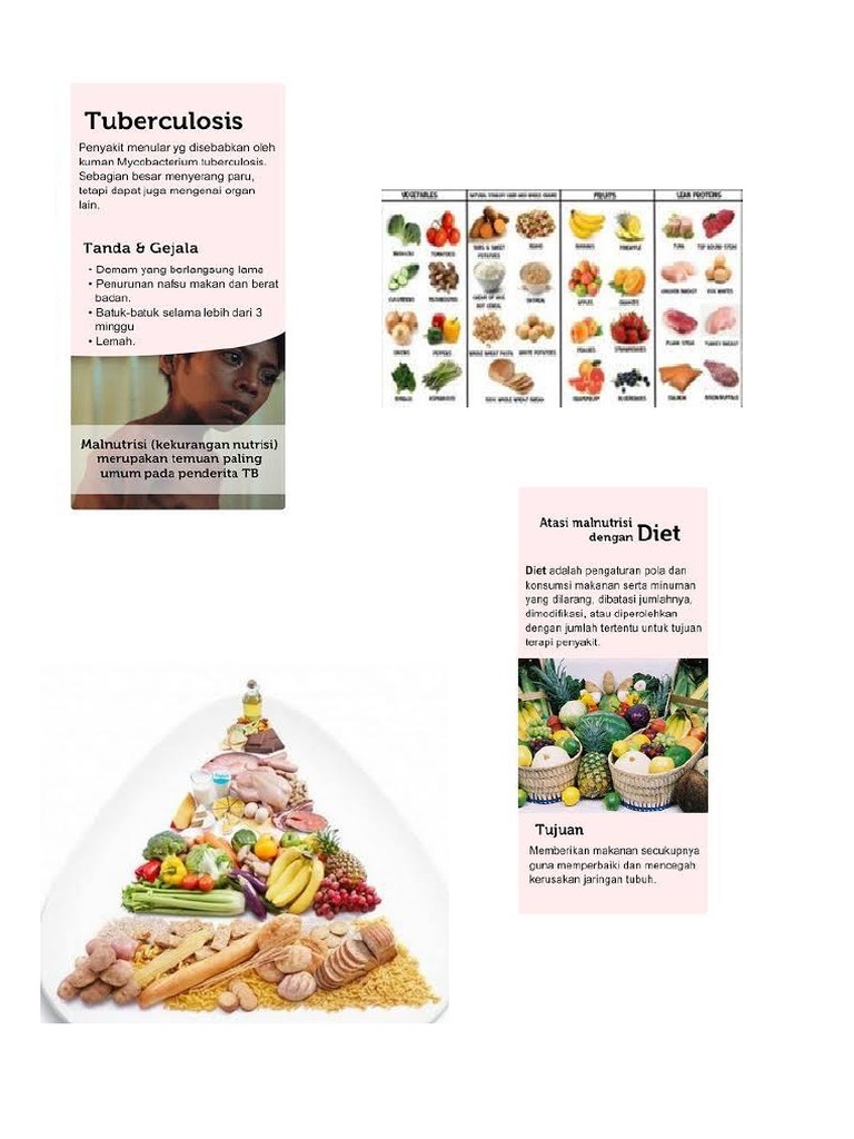 Poster Diet TB P | PDF