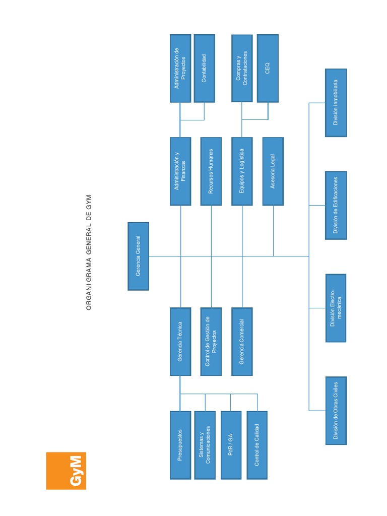 Organigrama General de GYM PDF | PDF