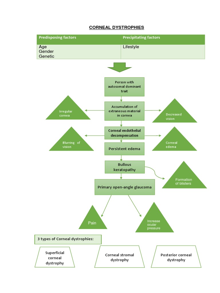 Corneal Dystrophy and Keratoconus Concept Map/ Pathophysiology | PDF ...