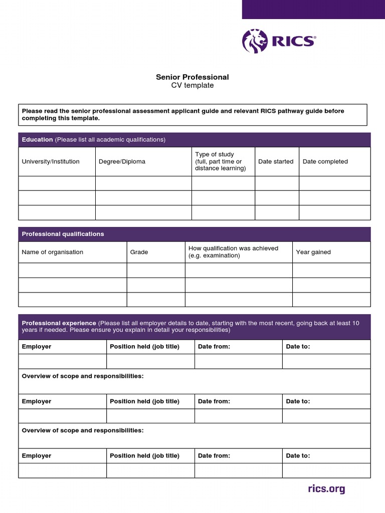 Senior Professional CV Template | PDF