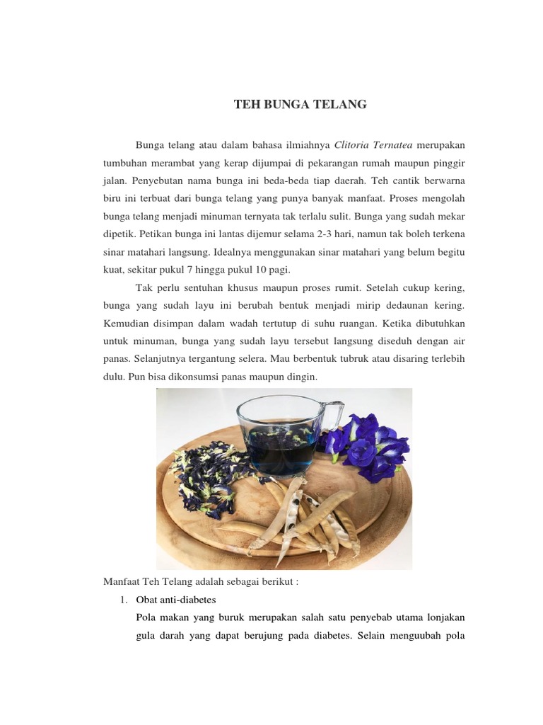 Teh Bunga Telang | PDF