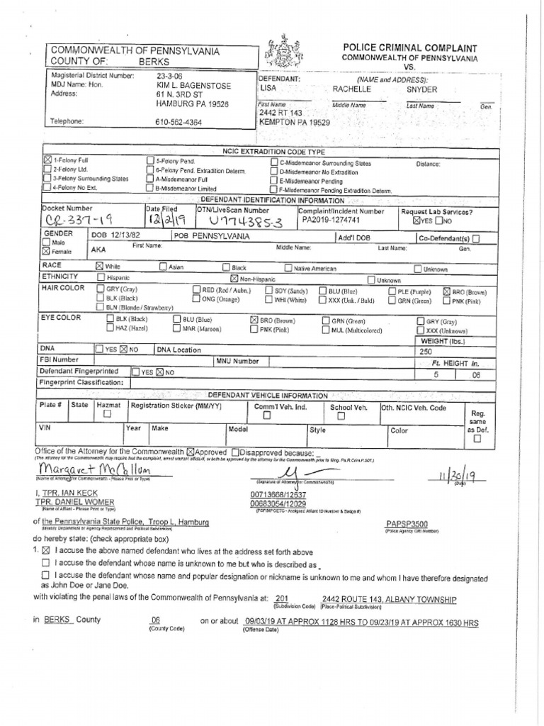 Lisa Snyder Arrest Affidavit | PDF