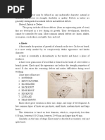 Timber Notes PDF | PDF