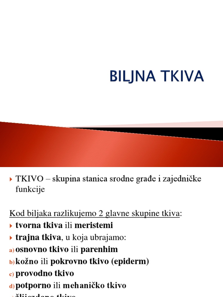 Biljna Tkiva | PDF