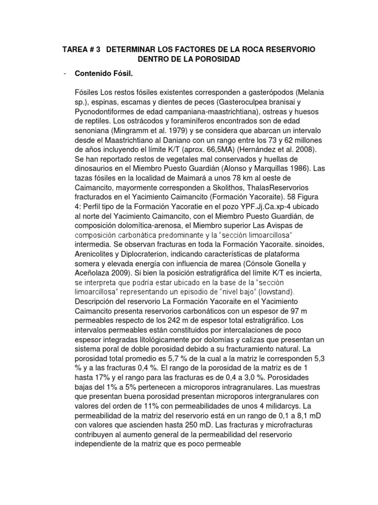 Factores de Porosidad en Rocas Reservorio | PDF | Roca clástica | Roca ...
