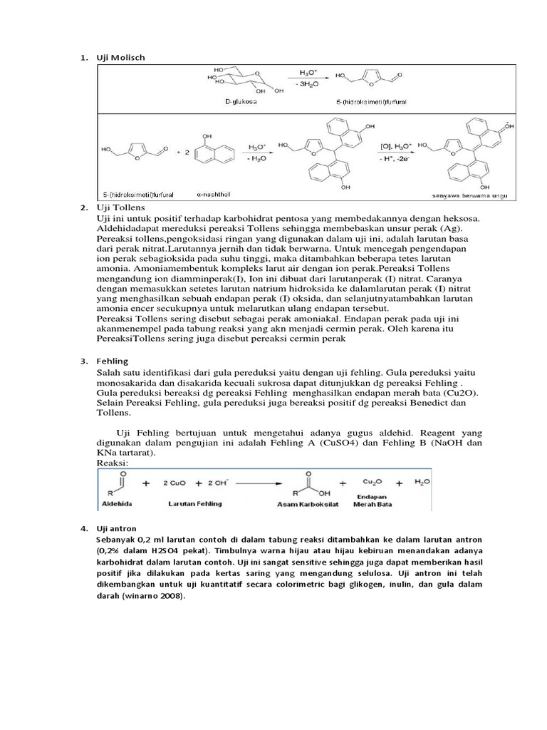 Uji Pada Karbohidrat | PDF