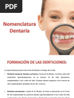 Fórmulas Dentarias | PDF | Diente | Ramas de Odontología