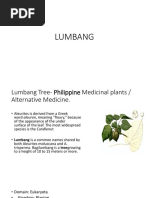 Molave Tree: Benefits and Growing Guide | PDF | Trees | Plants
