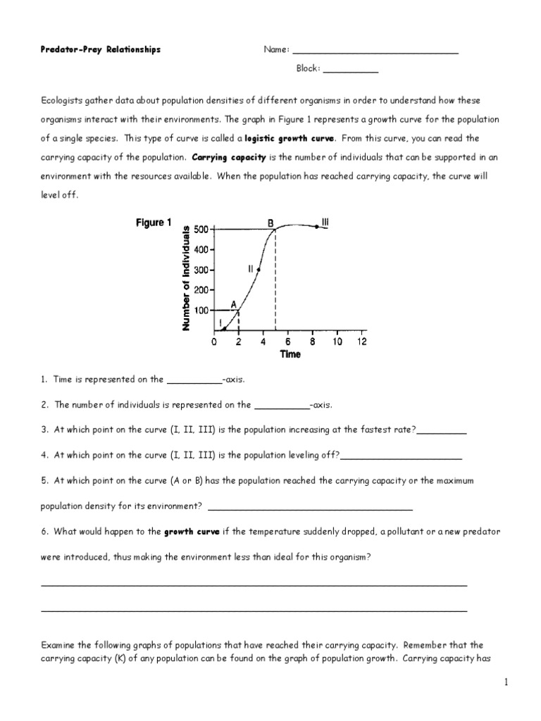 Predator-Prey Relationships Worksheet | PDF | Predation | Reindeer
