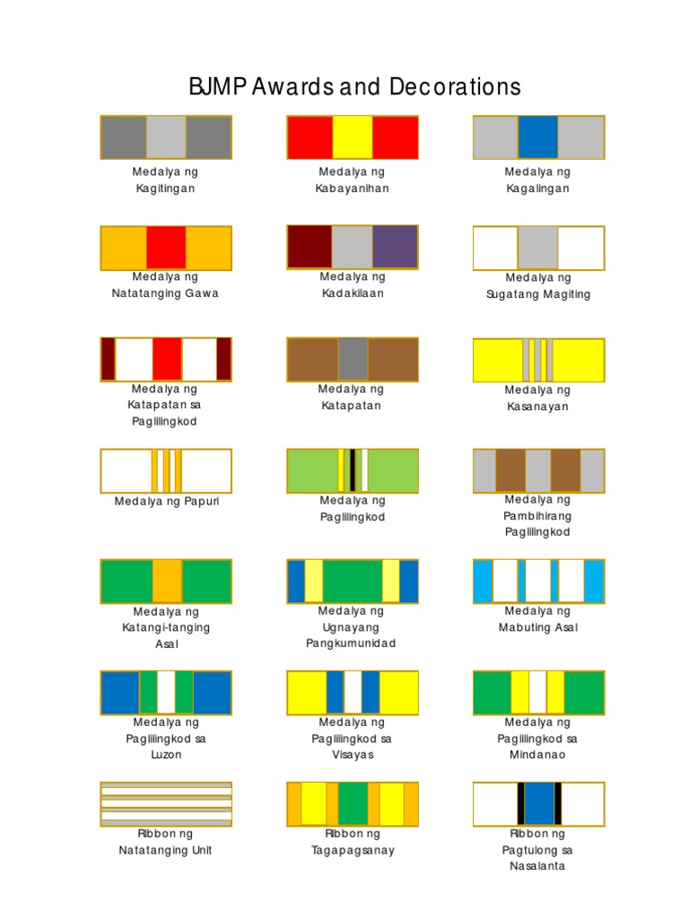 BJ MP Medals Awards | PDF