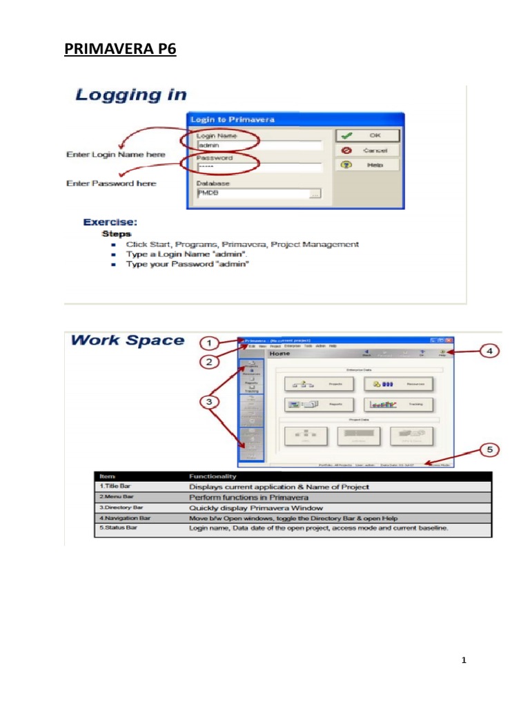 Primavera P6 | PDF | Computer Data | Information Technology Management