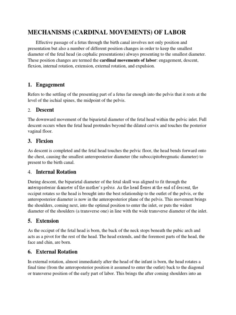Anatomy and Physiology of NSD | PDF | Childbirth | Pelvis