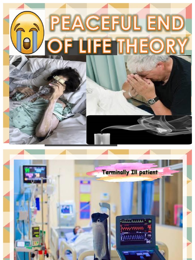 Cornelia Ruland | PDF | Terminal Illness | Psychology