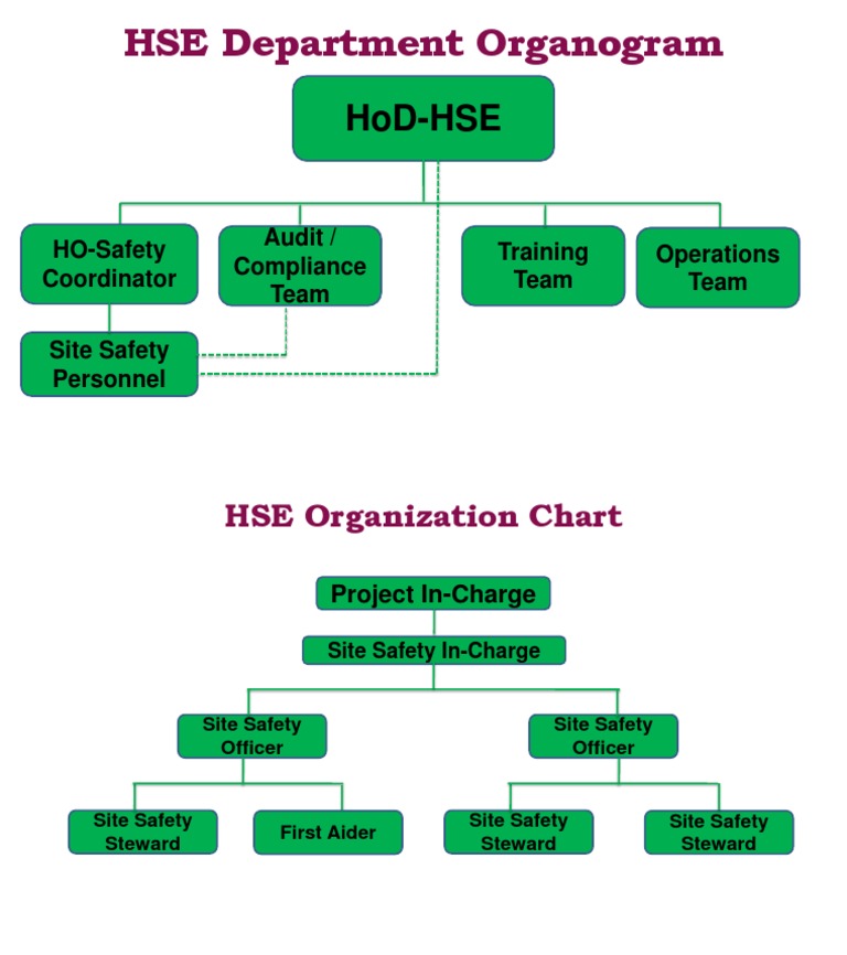 HSE Organization Chart | PDF