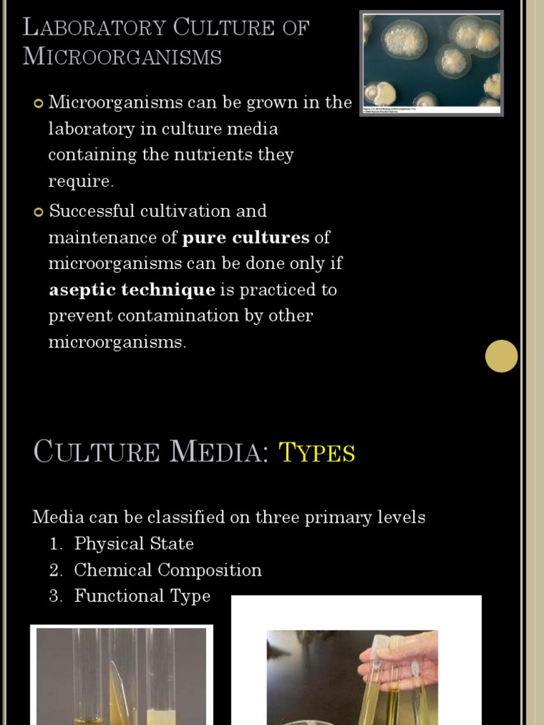 Laboratory Microorganism Culture Guide | PDF | Growth Medium | Microbiology