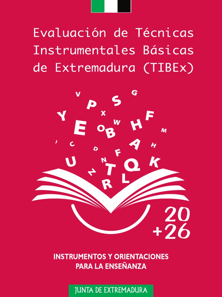 Evaluacion TIBEx | PDF | Educación primaria | Plan de estudios