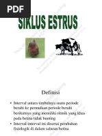 Anatomi Organ Reproduksi Sapi Betina | PDF