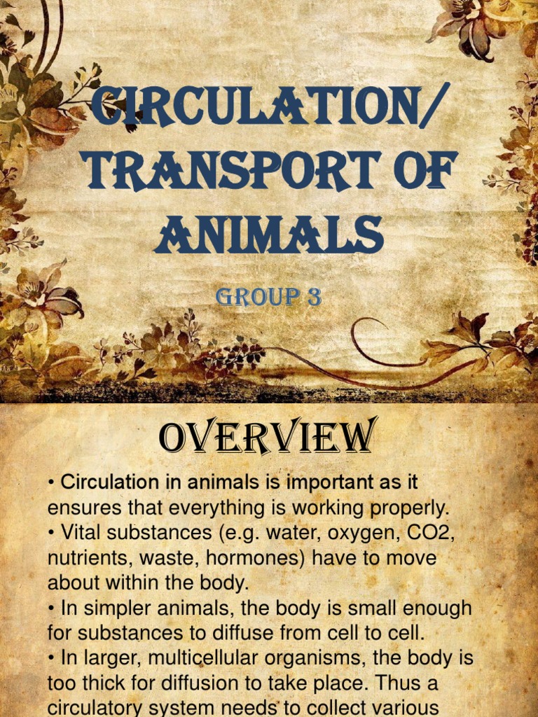 Circulation and Transportation in Gen - Bio 2 For Grade 11 STEM | PDF ...