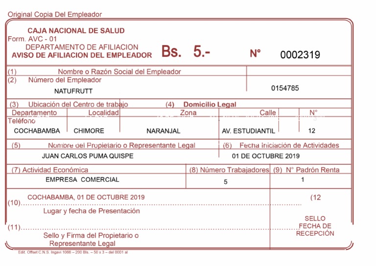 Formulario Avc 01 | PDF