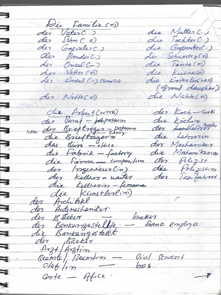 German A1 Study Notes | PDF