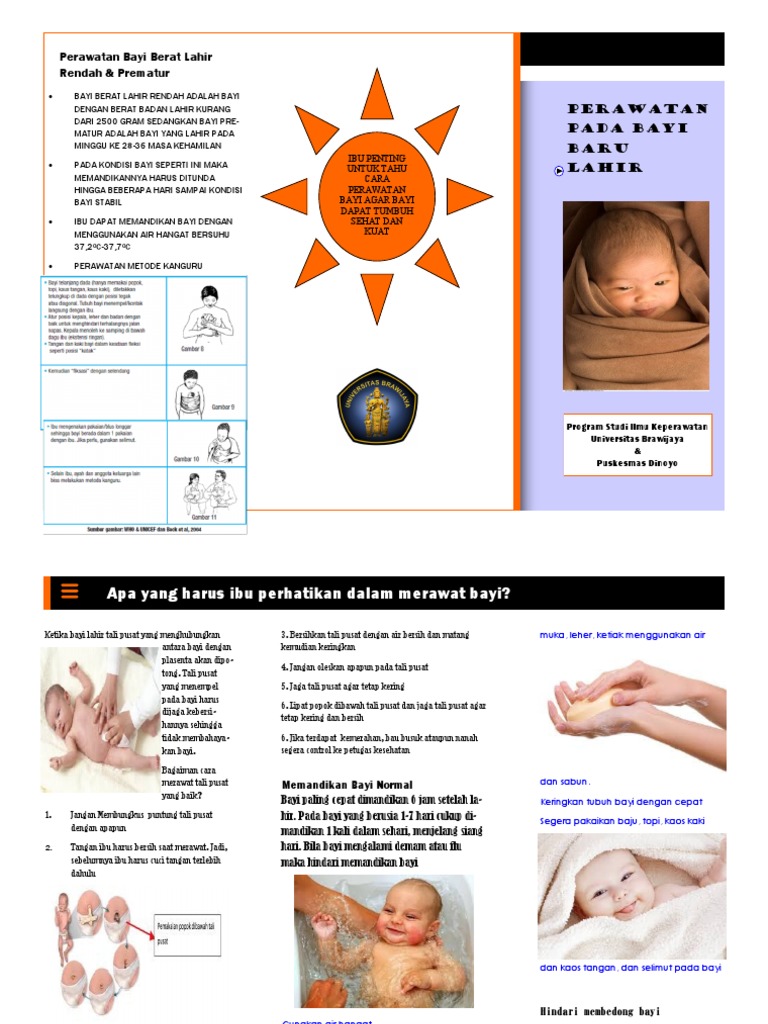 Perawatan Bayi Baru Lahir Leaflet (B) | PDF