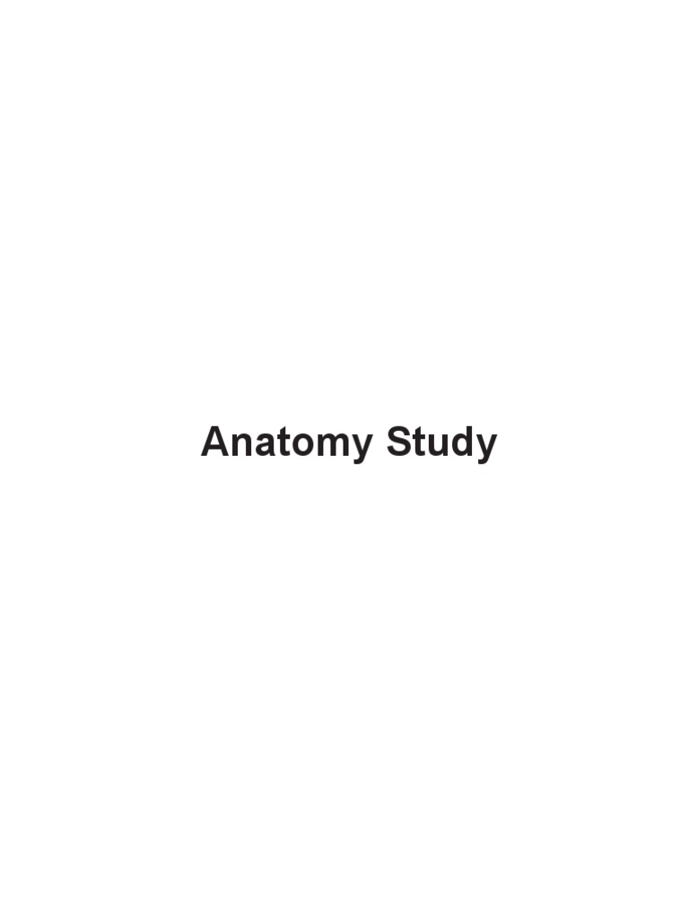 Anatomy Study | PDF | Skull | Skeleton