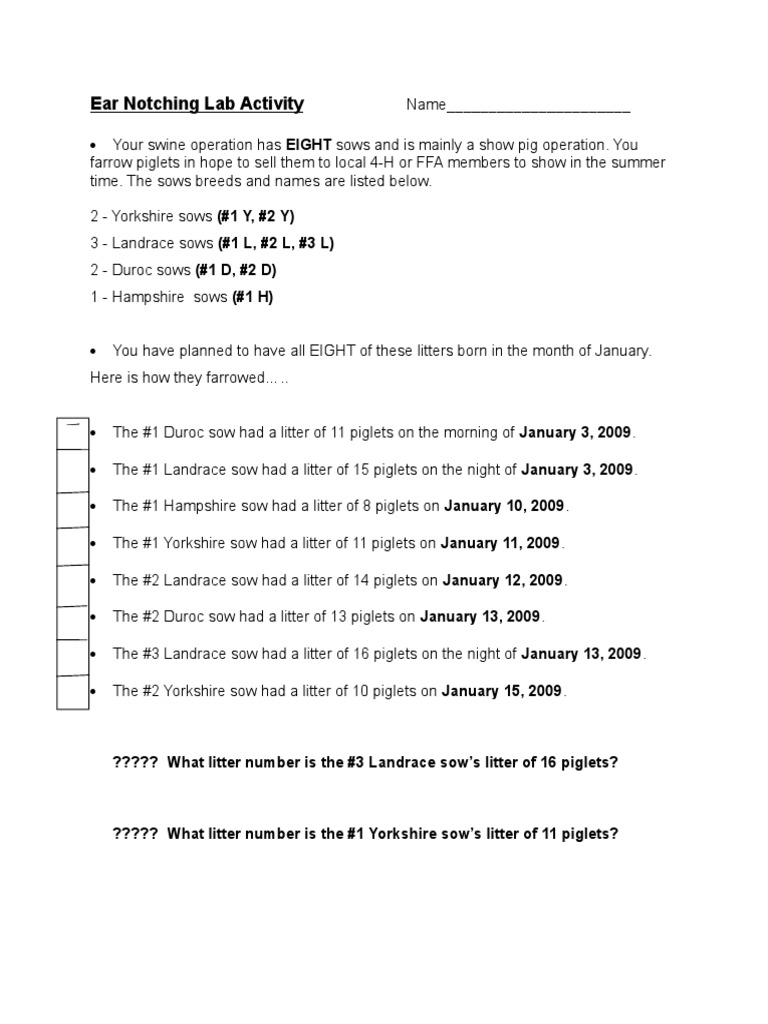 Ear Notching Records and Identification of Piglets from Eight Sows | PDF