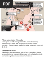 Ambrolex | PDF | Bioavailability | Pharmacokinetics