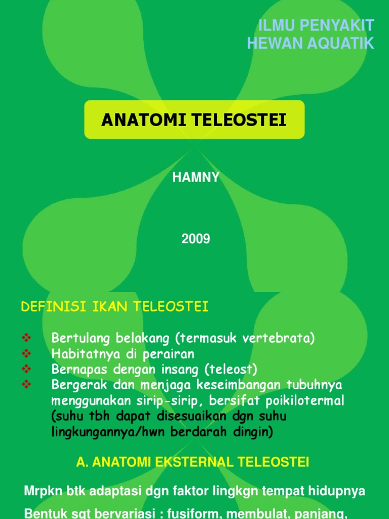 Anatomi Ikan | PDF