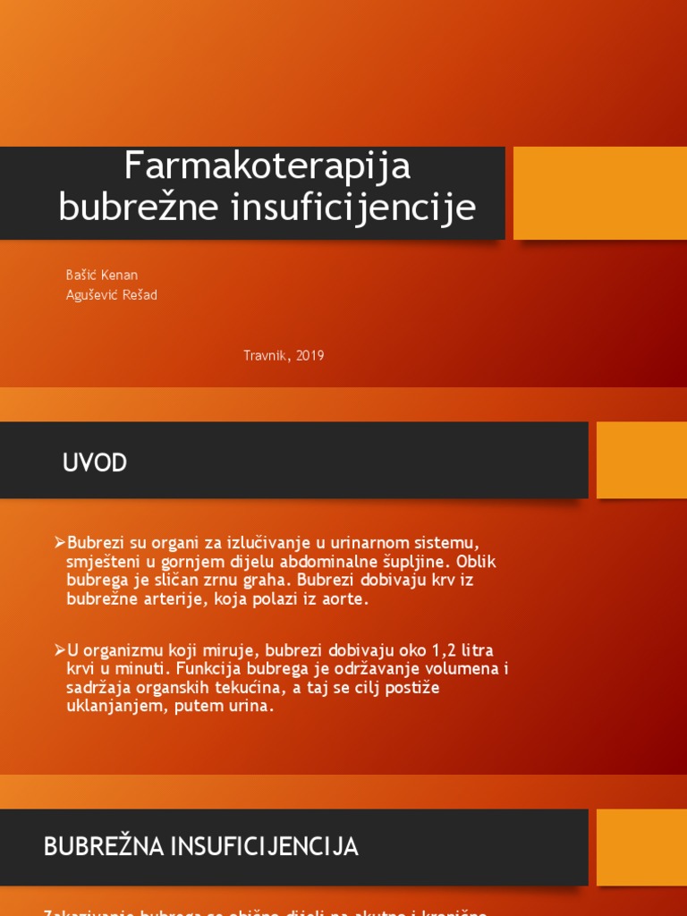 Bubreg | PDF