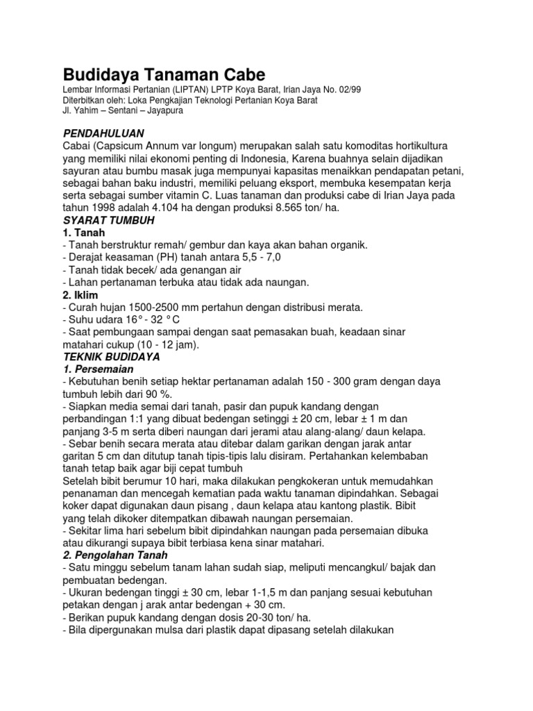 Panduan Budidaya Cabe | PDF