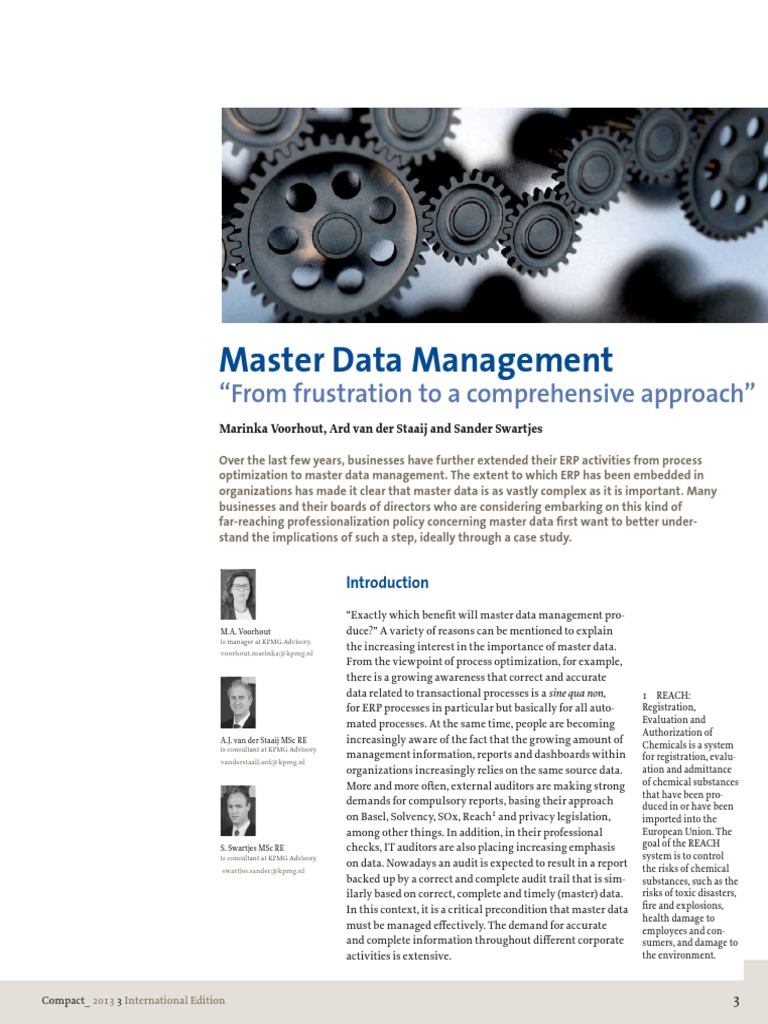 MDM Comprehensive Approach | PDF | E Commerce | Business