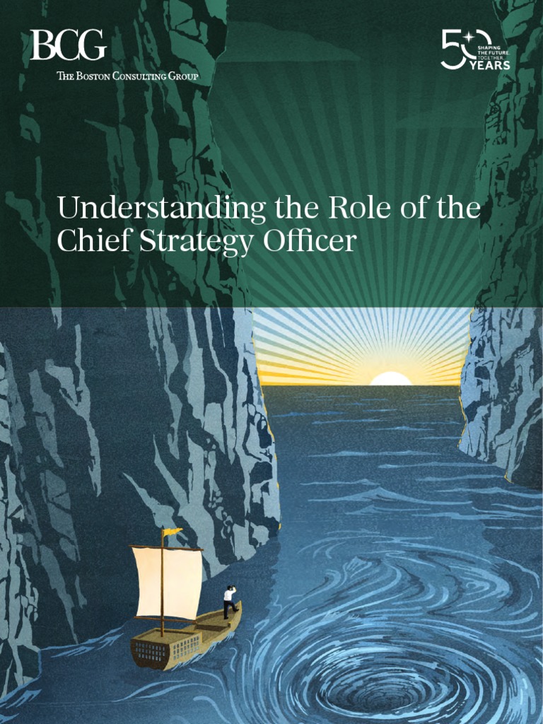 Understanding The Role of The CSO | PDF | Chief Executive Officer ...