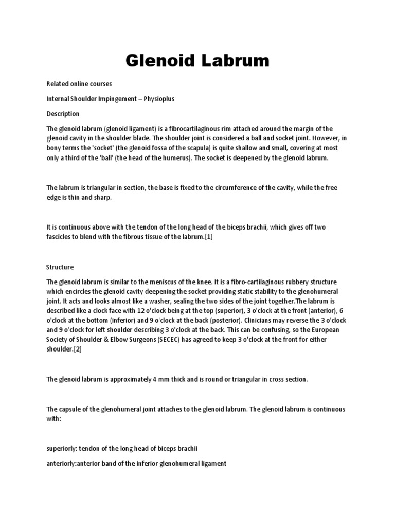 Glenoid Labrum | PDF | Shoulder | Anatomical Terms Of Motion