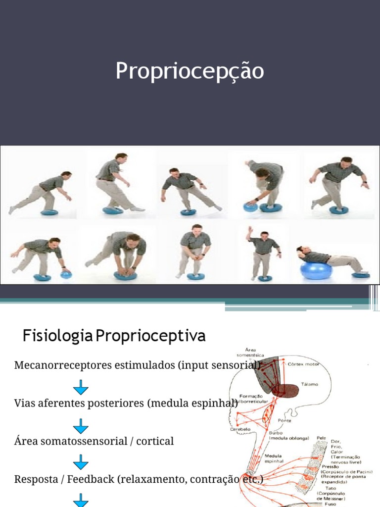 Propriocepção | PDF | Músculo | Sistema nervoso