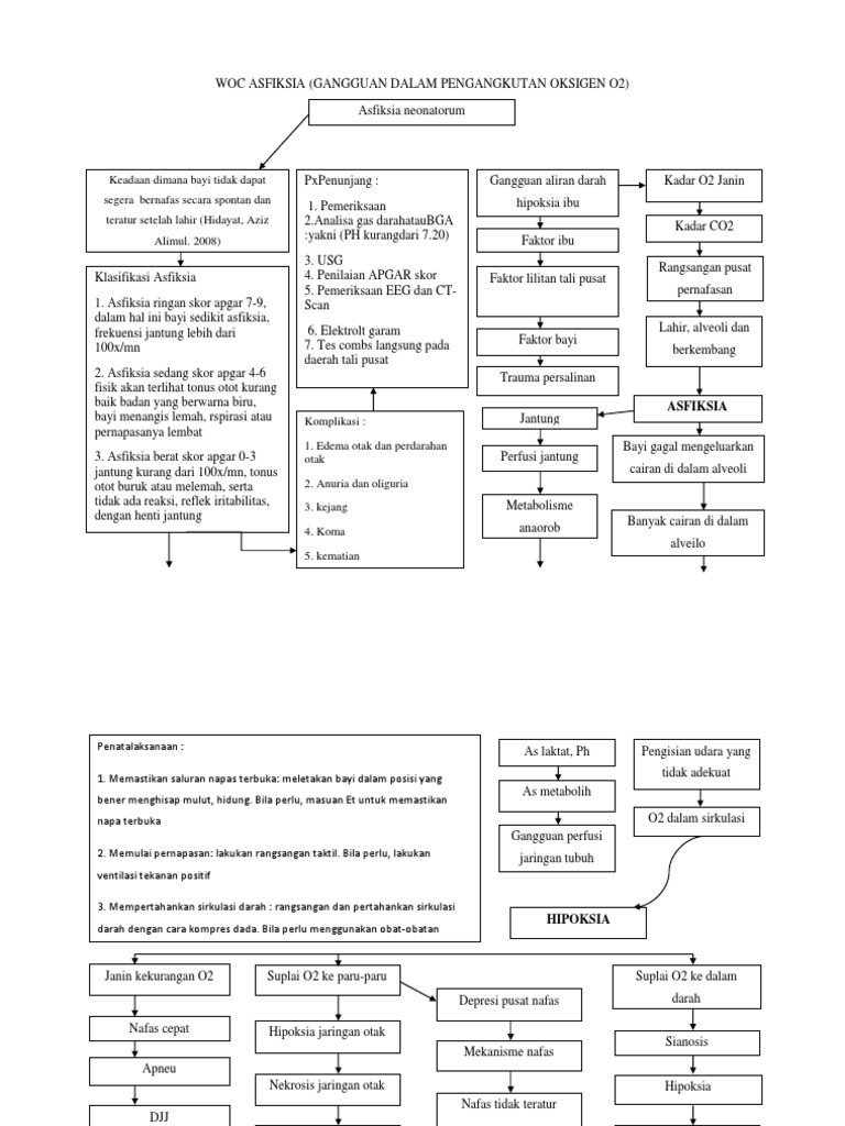 Woc Asfiksia Asli | PDF