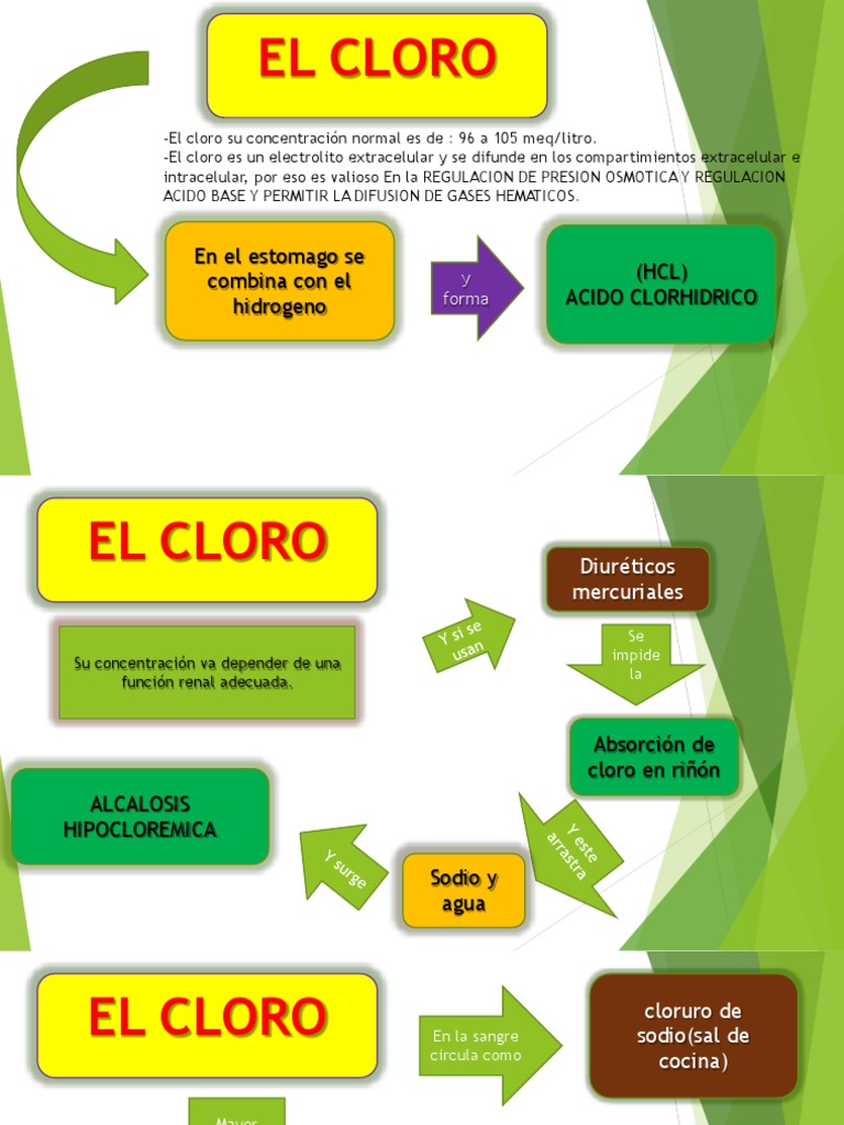 Funciones y metabolismo del cloro en sangre | PDF
