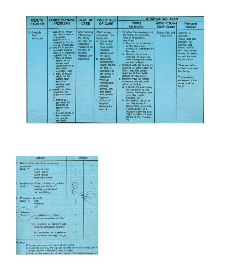 Sample FCP Maglaya PDF | PDF