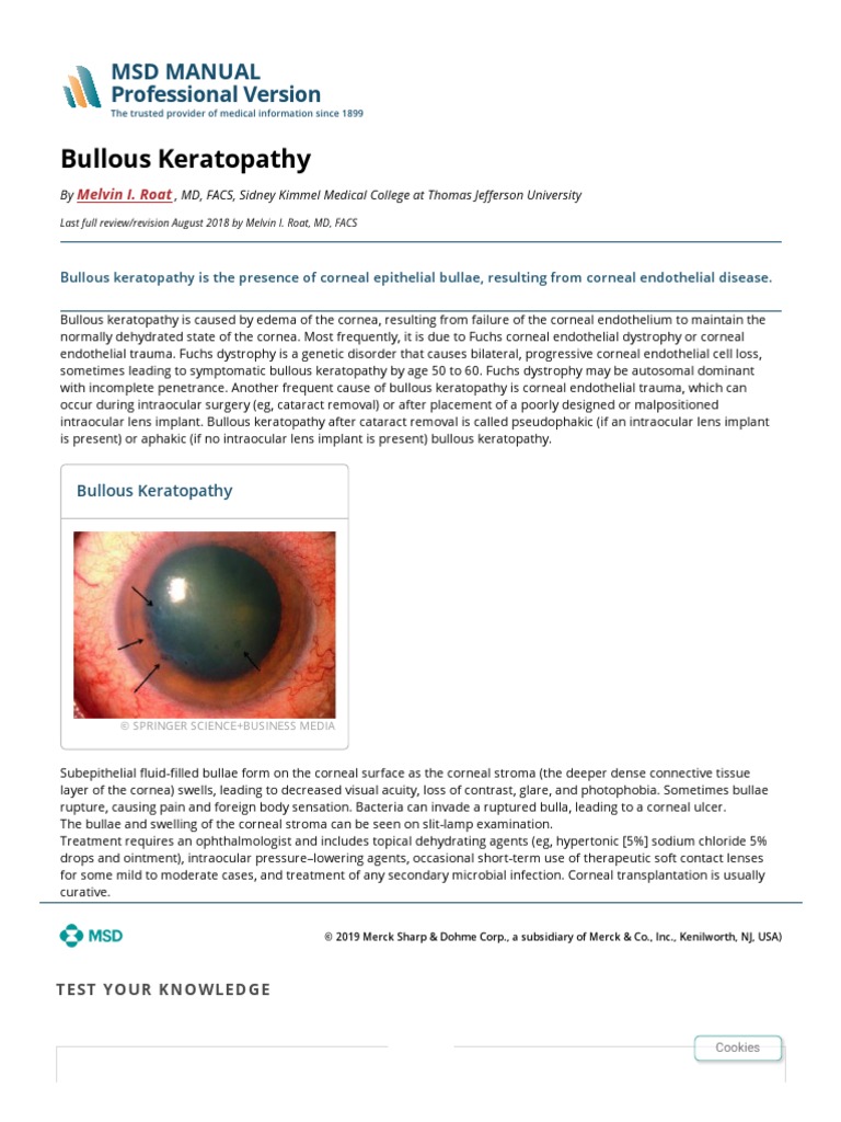 Bullous Keratopathy | PDF | Cornea | Epidemiology