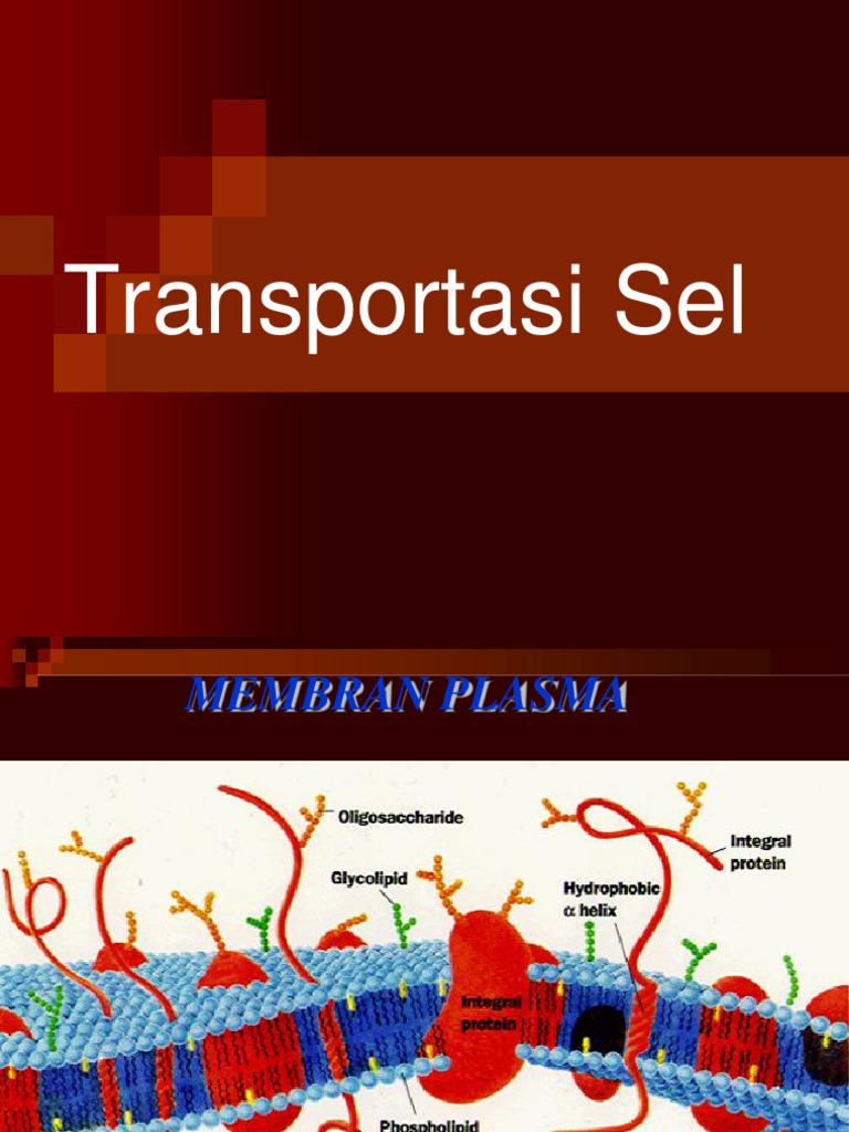 3.transportasi Sel | PDF