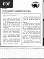 Standard Bridging Document Template 1 | PDF | Risk | Risk Management