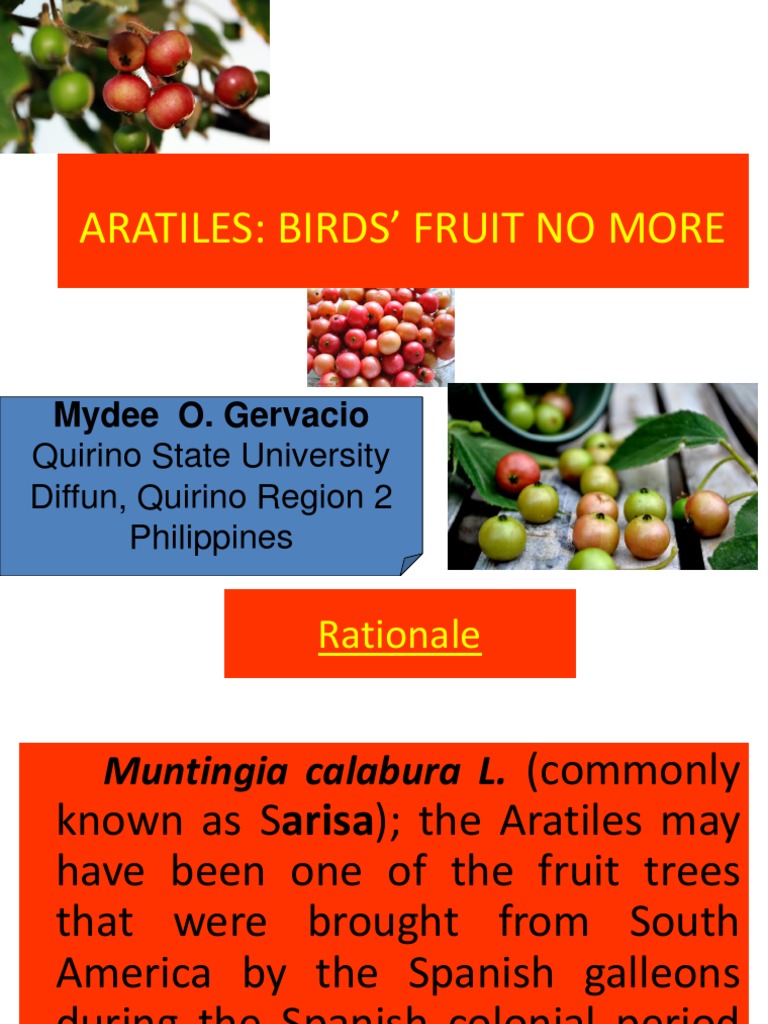 5 - Aratiles-WHOLE PAPER PDF | PDF | Fruit Preserves | Odor